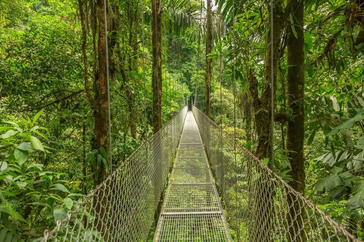 Circuit Jungles et forêts (maximum 14 participants) Costa Rica ...