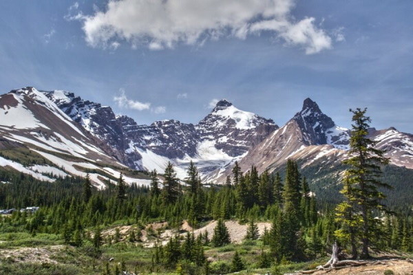 Circuit Wild Wide West 2025 Etats-Unis - Promovacances