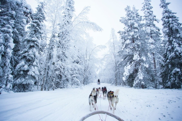 Circuit Essentiel de Laponie Finlande - Promovacances